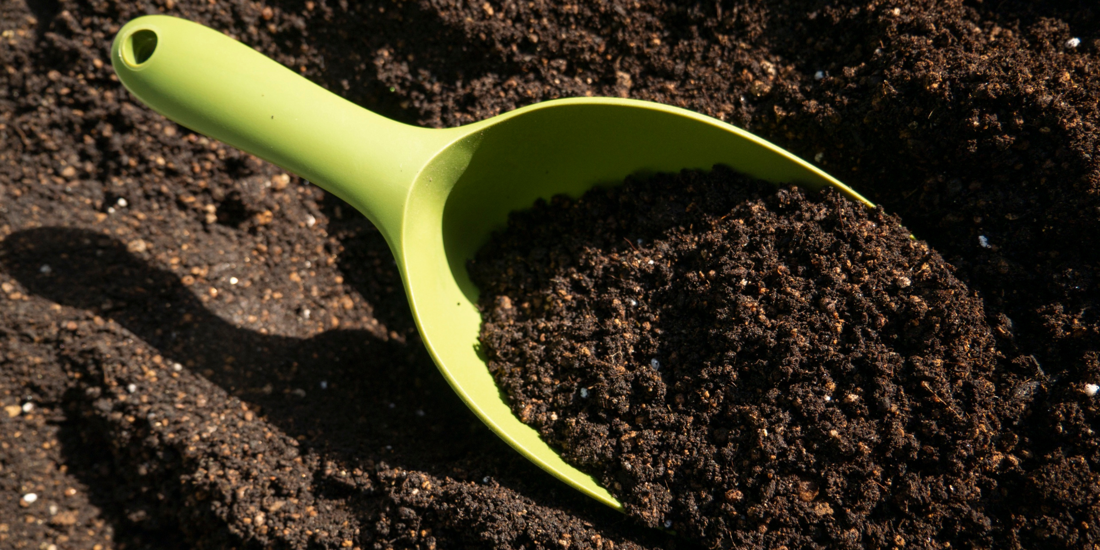 Is My Old Potting Soil Ruining My Plants and How Can I Refresh It ...