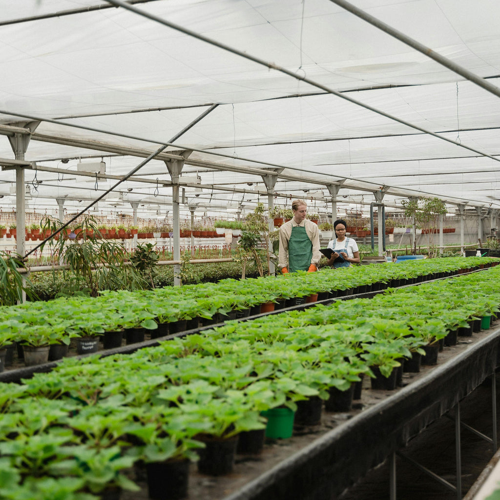 Smart Greenhouse Guide: Grow Healthier Plants at Home – Yieryi Meter